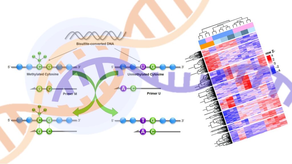 Publications Archives | Genomic Testing Cooperative