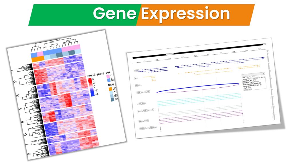 Gene Expression | Genomic Testing Cooperative